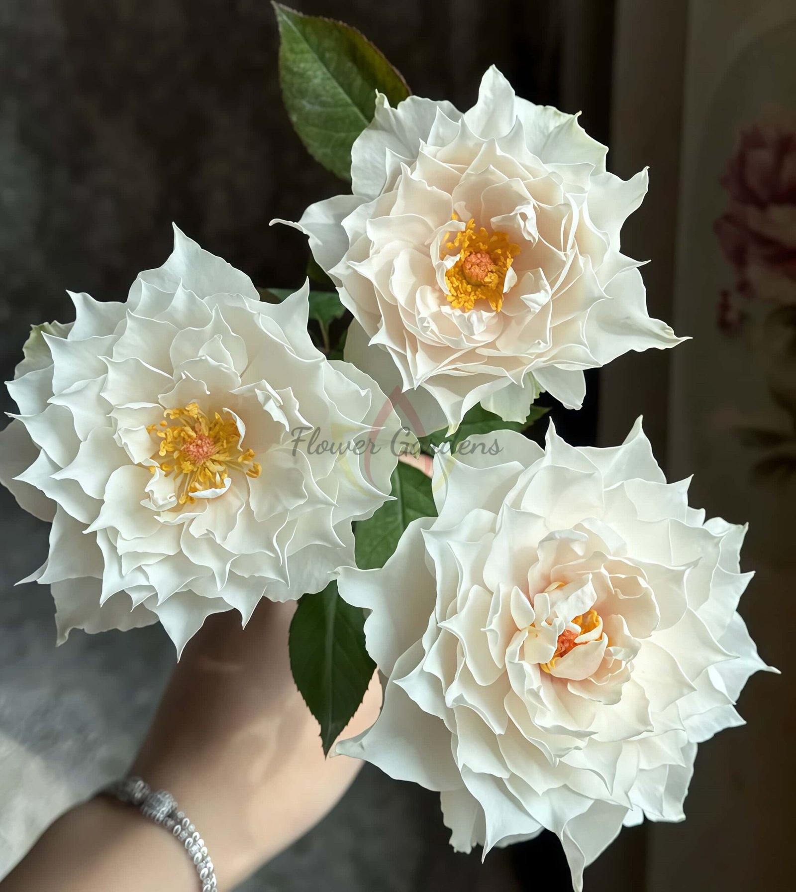 The Celestial Rose Plant|天宇